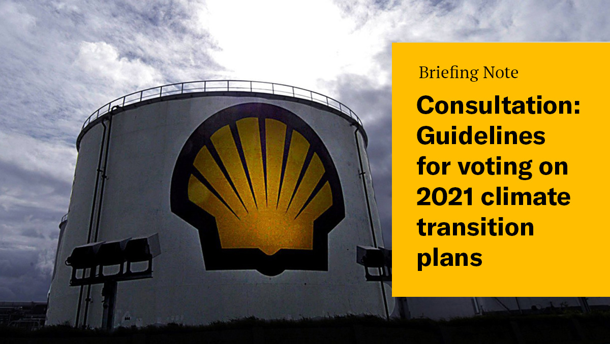 Consultation: 2021 climate plan voting guidelines